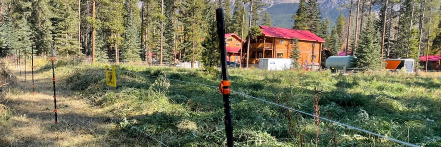 BEAR Electric Fencing: A Proven Solution for Bear Protection ...