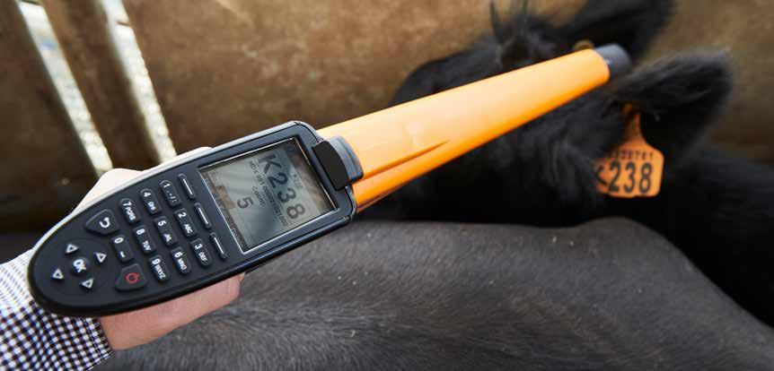 RFID/EID Livestock Tag Readers – FenceFast Ltd.