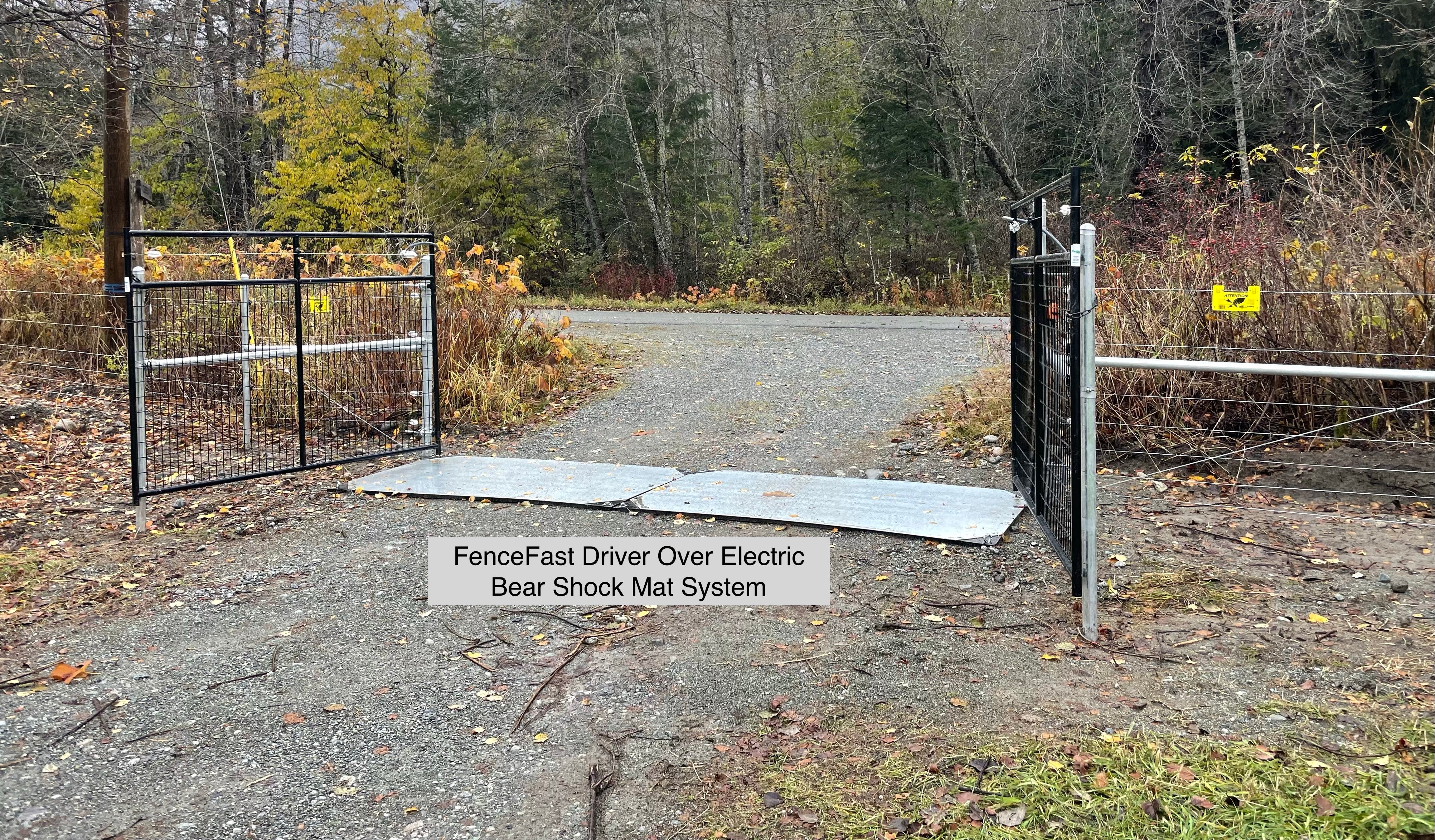 Bear Electric Shock Mat Drive Over – FenceFast Ltd.