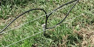 Gallagher Ground Rod Galvanized 6 ft x 1/2" – FenceFast Ltd.