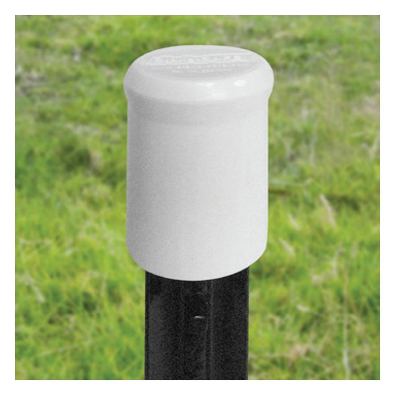 Patriot T-Post Safety Caps 10 pkg – FenceFast Ltd.