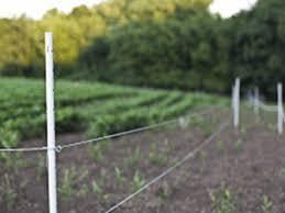 Gallagher Fiberglass Rod Post 7/8" diameter- 10 pkg – FenceFast Ltd.