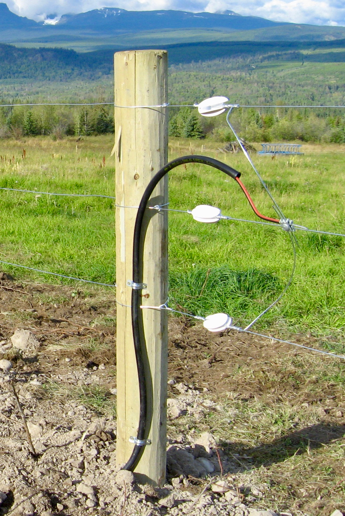 2 Hole Rigid Strap 1/2 In. - Bag of 8 – FenceFast Ltd.